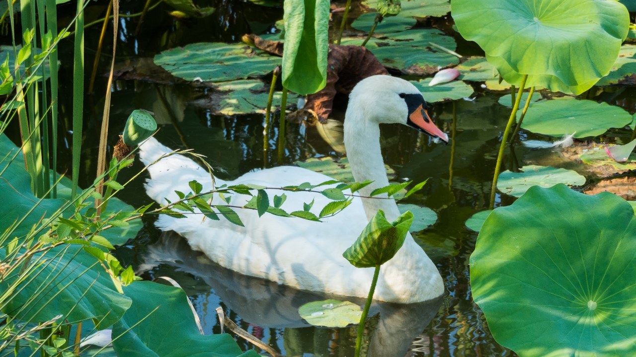 Od SEOSKOG TURIZMA do rakije sa zlatom: Spisak mesta u Šumadiji gde ...